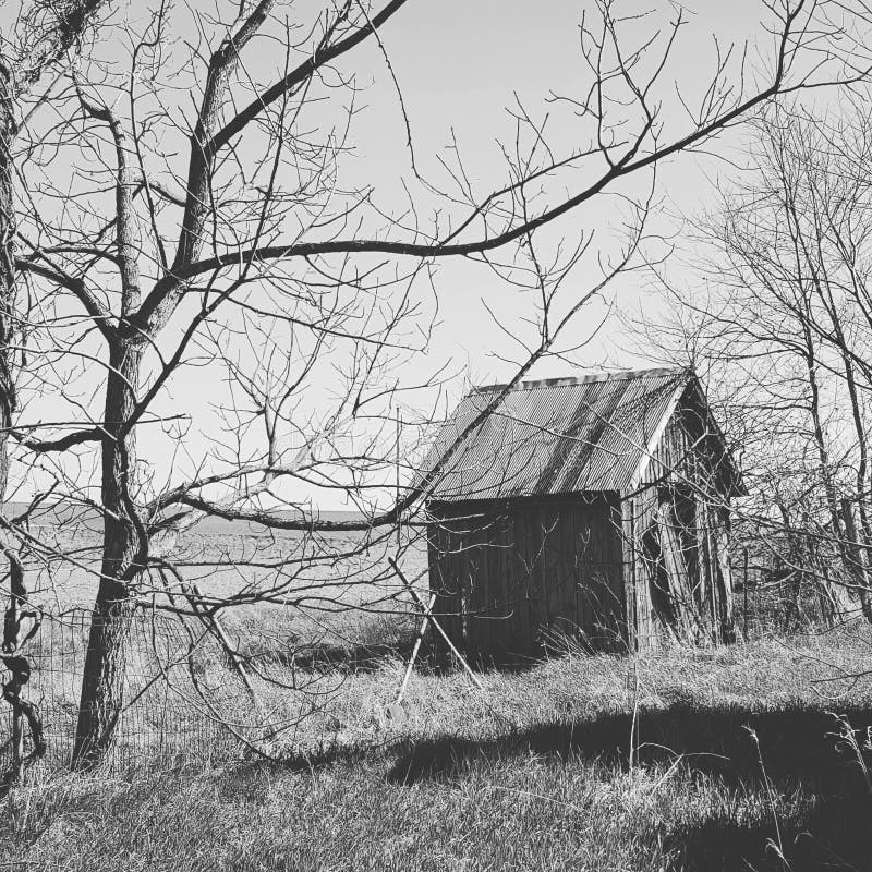 Old Shack stock image. Image of falling, shack, abandoned - 122657399