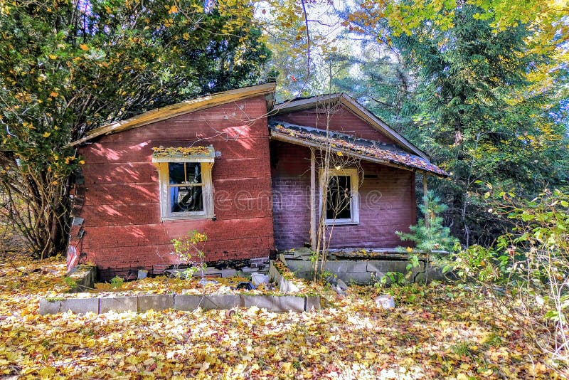 Old shack stock image. Image of wooden, green, ruin - 248481133