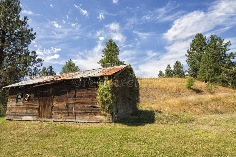 Old Shack stock image. Image of white, grass, shack, canada - 77165629