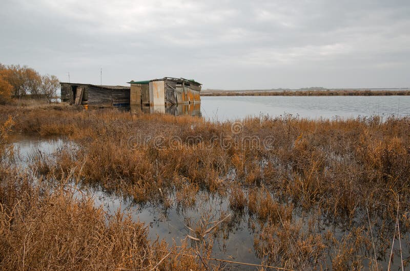 Old shack stock photo. Image of summer, lake, rural, pond - 49083814