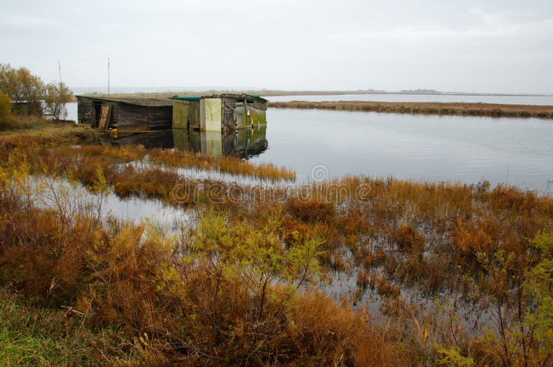 Old shack stock image. Image of lake, seasonal, pond - 50532017