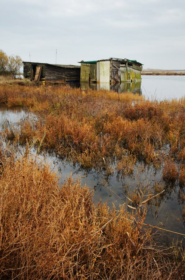Old shack stock photo. Image of color, countryside, scenery - 50550834