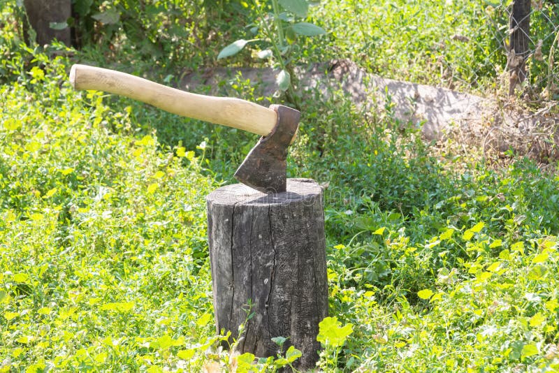 An old sharp axe stock photo. Image of lumber, natural - 226978984