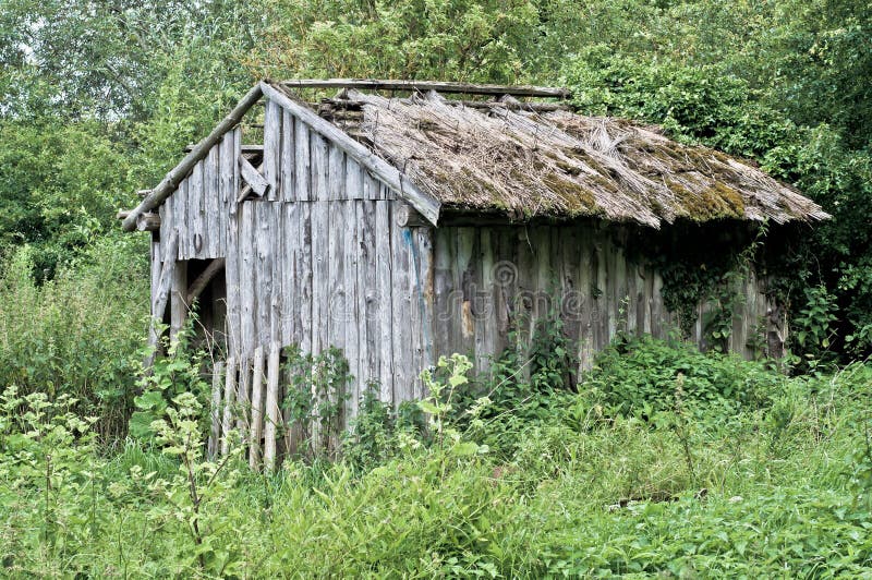 Old shed stock image. Image of indoor, garden, nature - 25753953