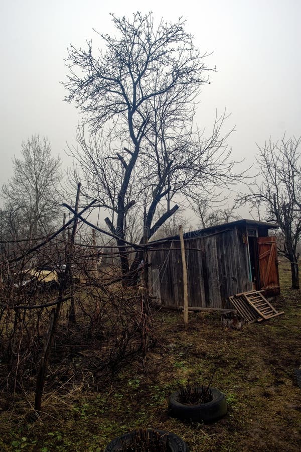 Old shed in the garden stock photo. Image of rural, wooden - 250613776
