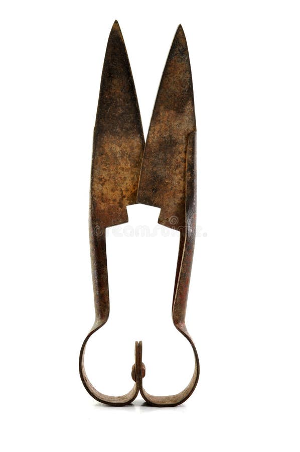 Old sheep scissors stock photo. Image of shearer, tool - 9359092