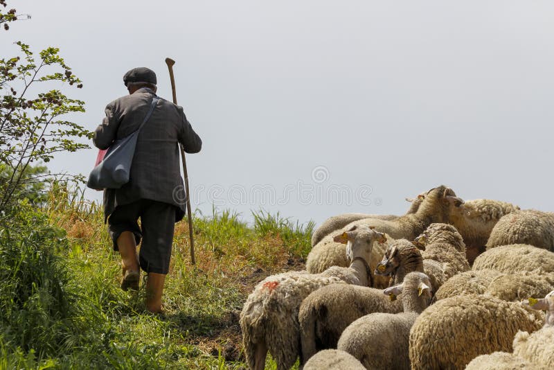 14,823 Old Shepherd Stock Photos - Free & Royalty-Free Stock Photos ...