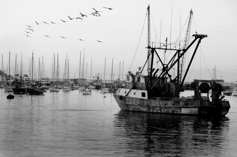 Old ship in harbor stock image. Image of angling, fashioned - 7021883