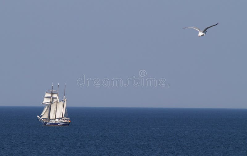 Old ship with seagull stock image. Image of styled, sailor - 11007801