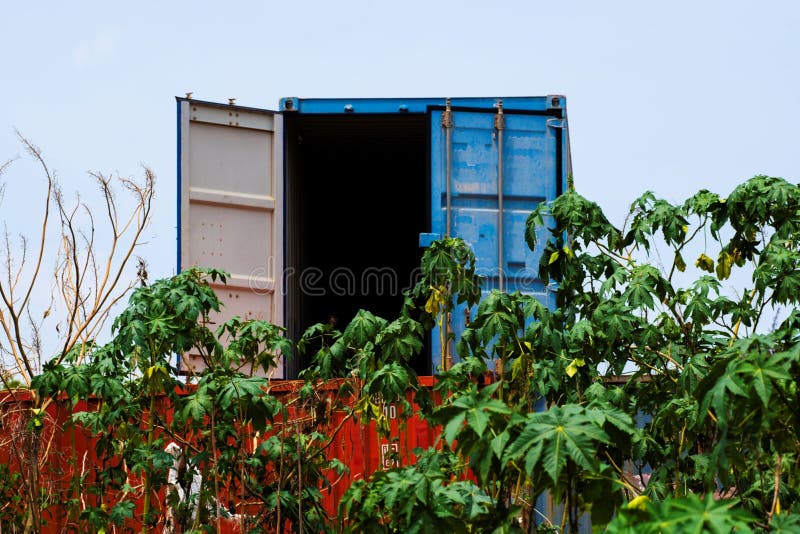 Old Shipping Container in the Wild Stock Image - Image of distribution ...