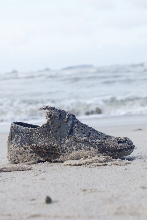 Old Shoe with Shell on Beach Stock Photo - Image of summer, shoe: 67744950