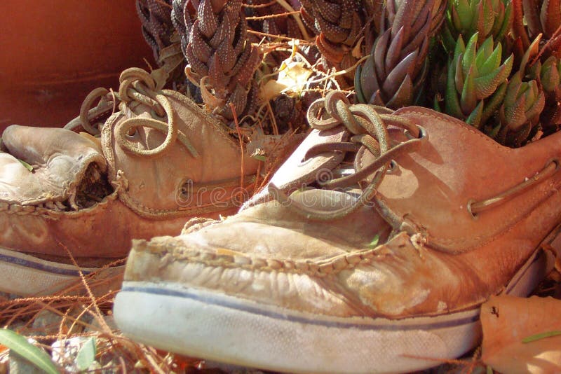 Old Shoes stock photo. Image of suculant, garden, worn - 207652