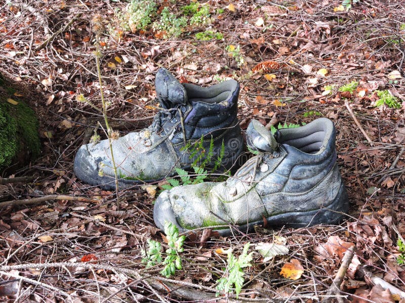 Old shoes stock photo. Image of shoes, leaves, shoe, texture - 82182794