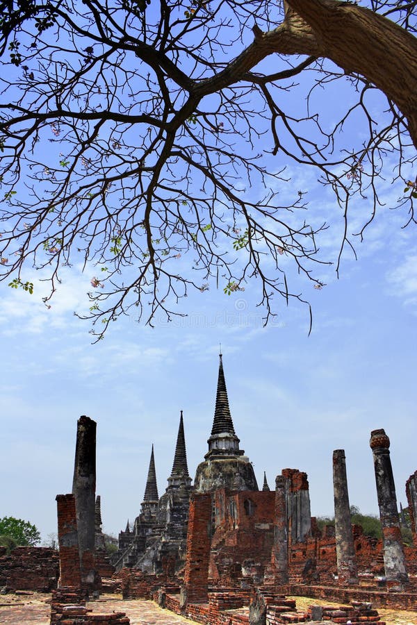 Old Siam Temple of Ayutthaya Stock Image - Image of architecture, rock ...