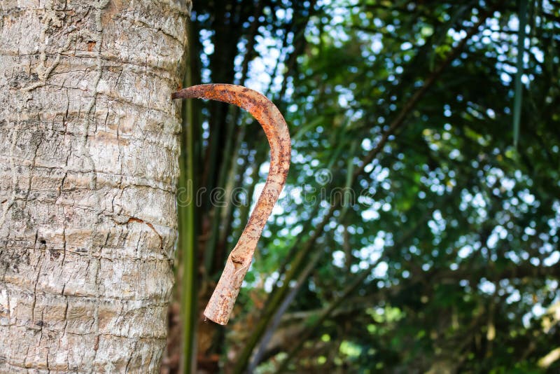 The Old Sickle Stuck on the Tree. Stock Image - Image of white ...