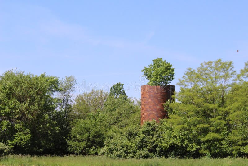 Old Silo with a Tree Growing Out of the Top Stock Photo - Image of ...