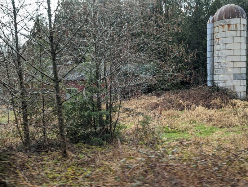 Old Silo Trees stock photo. Image of trees, silo, plants - 311118694