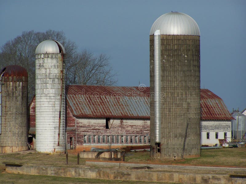 Old silo golf - Lasiseed