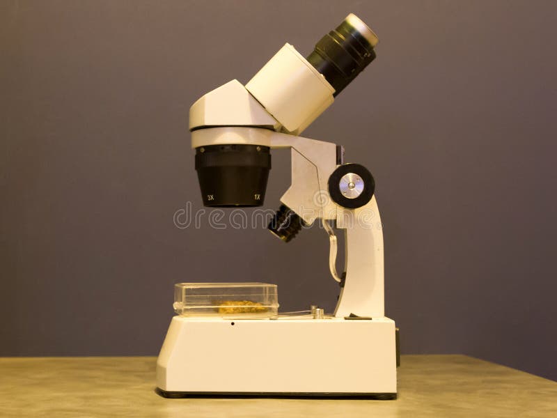 Simple microscope stock image. Image of small, white - 13424145