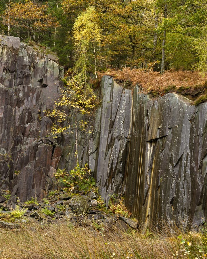 Old Slate Mine and trees stock image. Image of material - 260117139