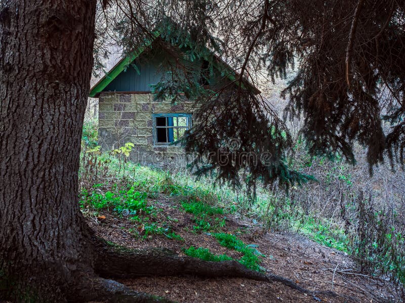 An Old Small Abandoned House Stands on an Overgrown Clearing in the ...