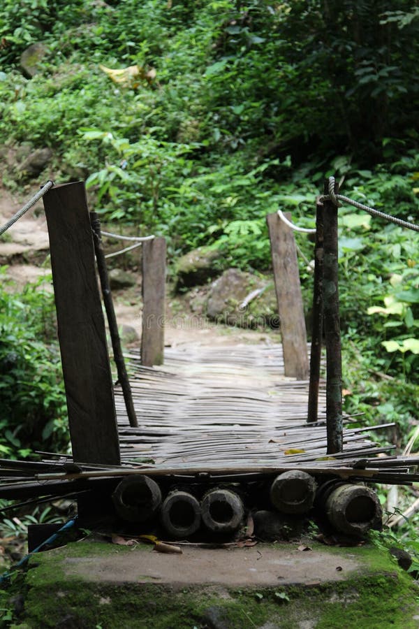 Small Bamboo Bridge in Countryside Stock Image - Image of tourist, park ...