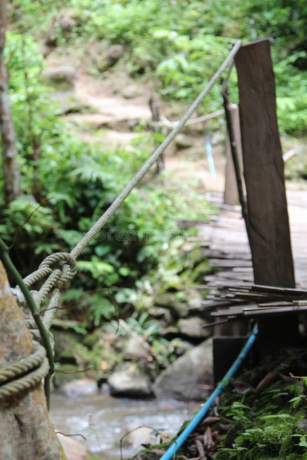 Small Bamboo Bridge in Countryside Stock Photo - Image of trekking ...