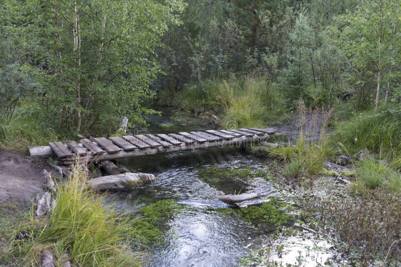 Old Small Bridge through a River in a Forest Stock Image - Image of ...