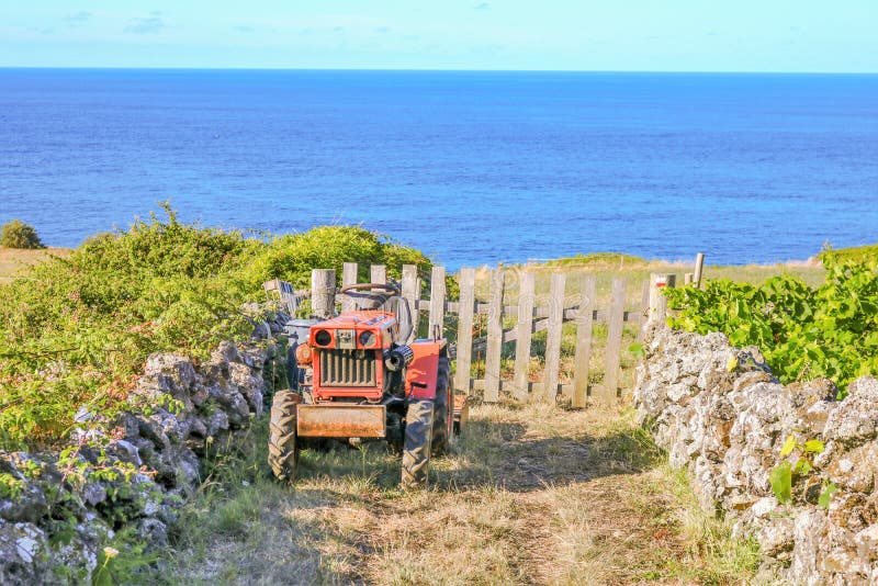 Old farm tractor. stock image. Image of earth, environment - 124473829