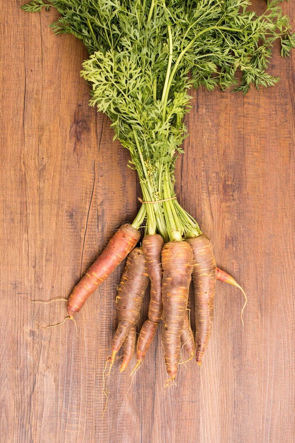 Old sort of carrots stock photo. Image of table, healthy - 49083760