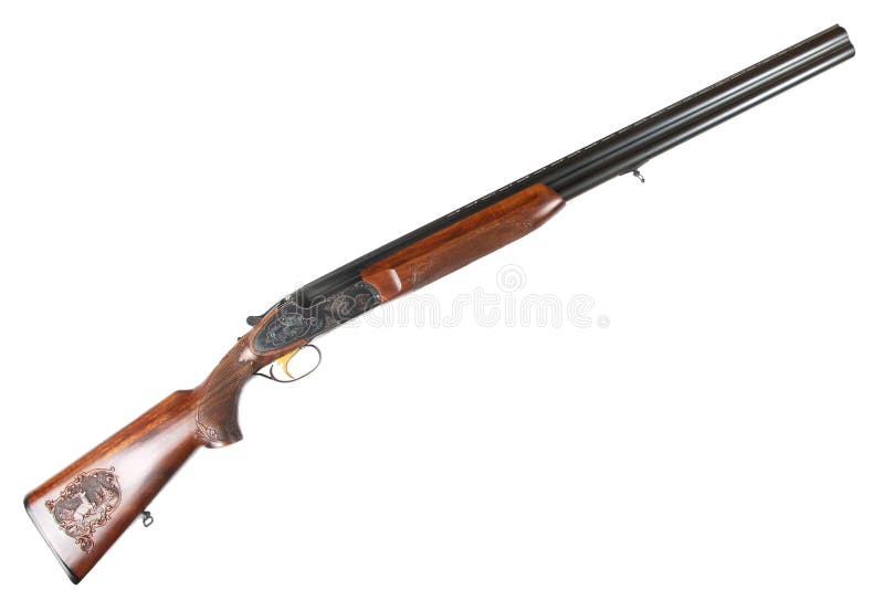 Double-barreled Hunting Rifle with 308-gauge Rifled Barrels Isolated on ...