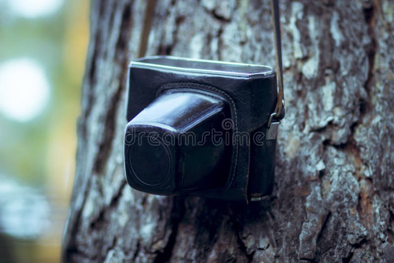 Nest Box Camera Stock Photos - Free & Royalty-Free Stock Photos from ...