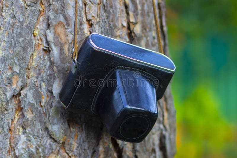 Nest Box Camera Stock Photos - Free & Royalty-Free Stock Photos from ...