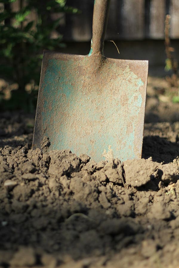 Spade with soil. stock image. Image of amount, heap, investment - 3523539