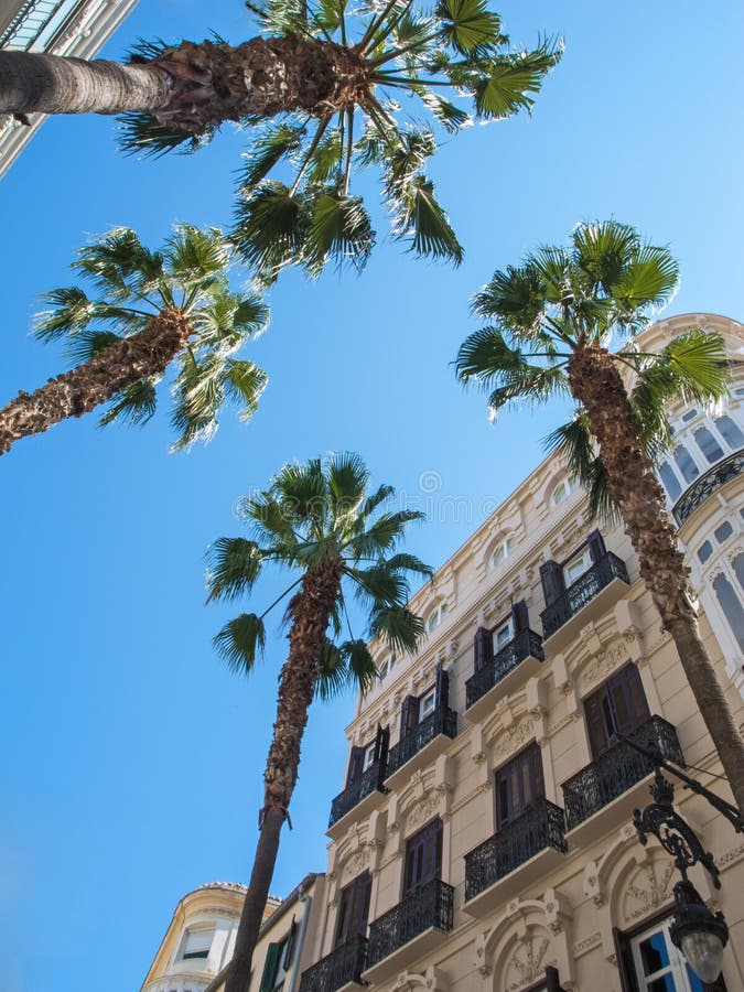 Old Spanish Houses with Palm Trees Stock Image - Image of andalucia ...