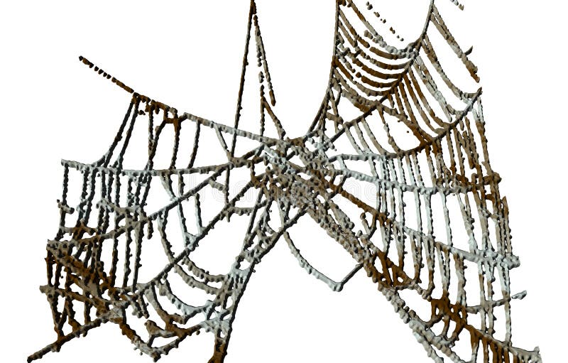 Old spider web stock illustration. Illustration of creepy - 198582742