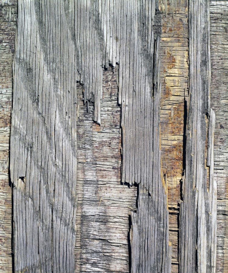 Old Splintered Plywood stock photo. Image of outside - 58667560