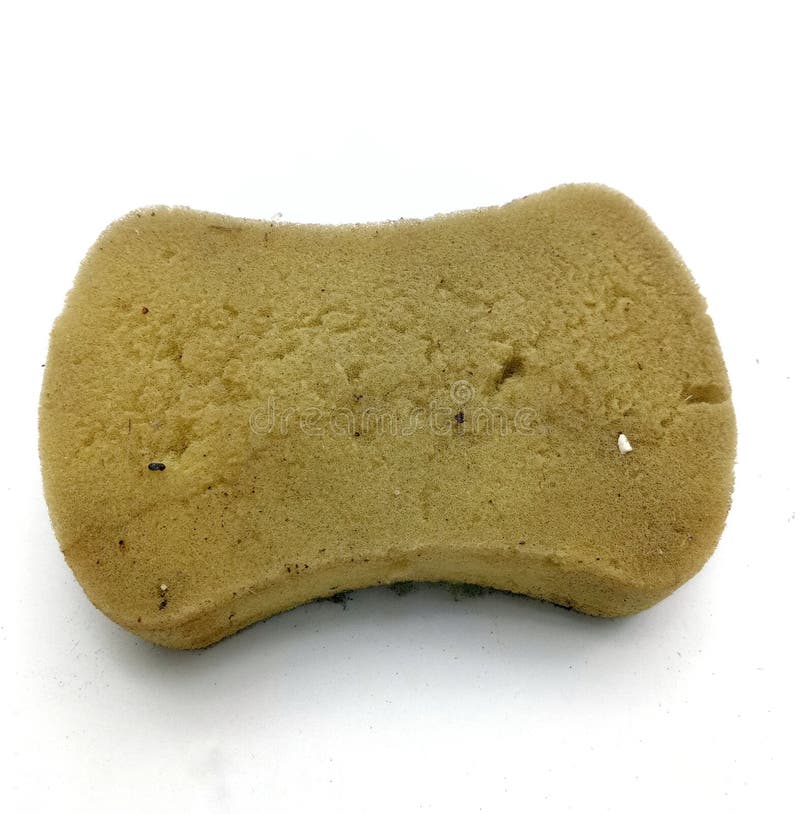 661 Old Bath Sponge Stock Photos - Free & Royalty-Free Stock Photos ...