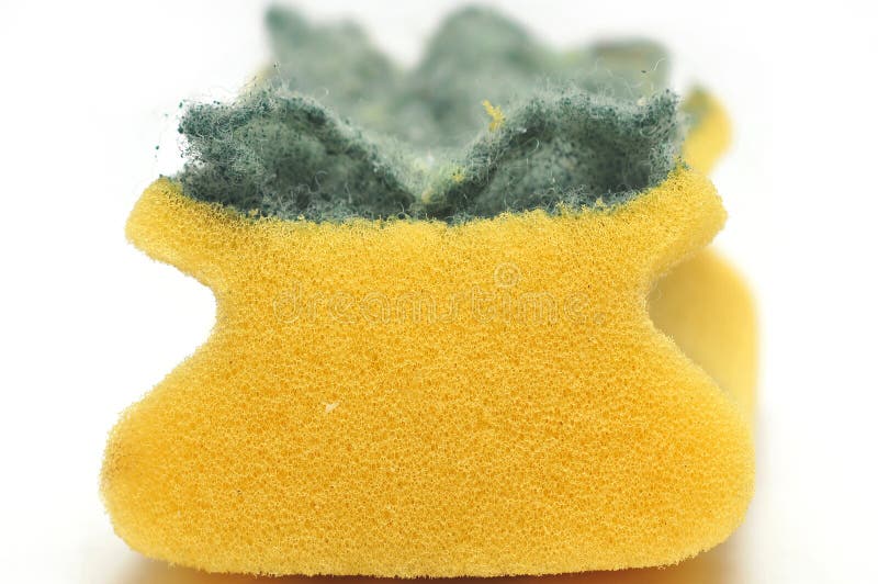 Old Sponge Kitchen on a White Background Stock Image - Image of wipe ...