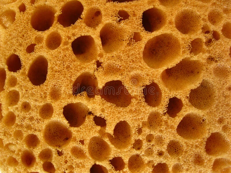 Old sponge texture stock photo. Image of cleaning, macro - 115874816