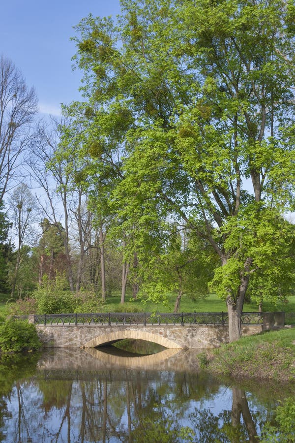 Old Spring Park with a Pond and Bridge Stock Photo - Image of bridge ...