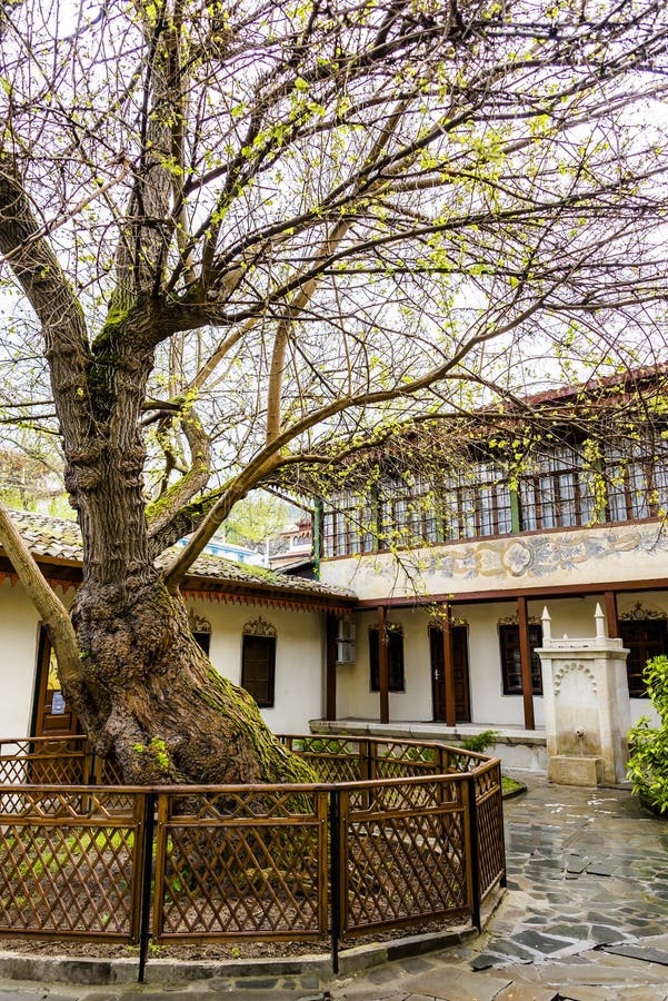 Old Spring Tree in the Courtyard of the Khan Palace in Bakhchisarai ...