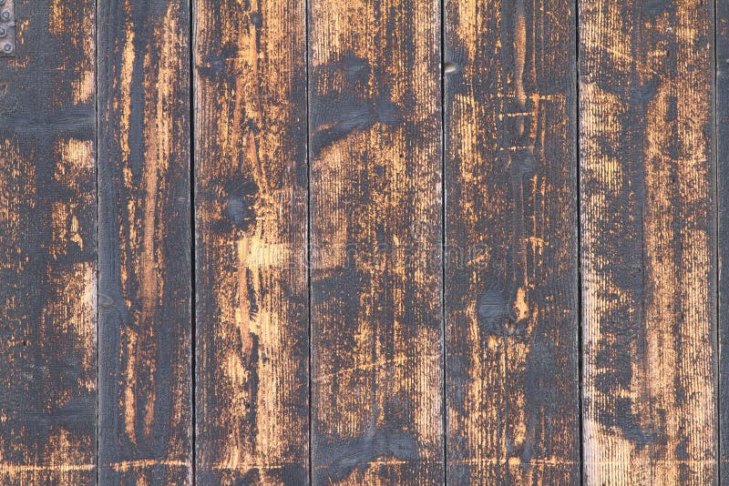 Old spruce plank texture stock image. Image of board - 62925497