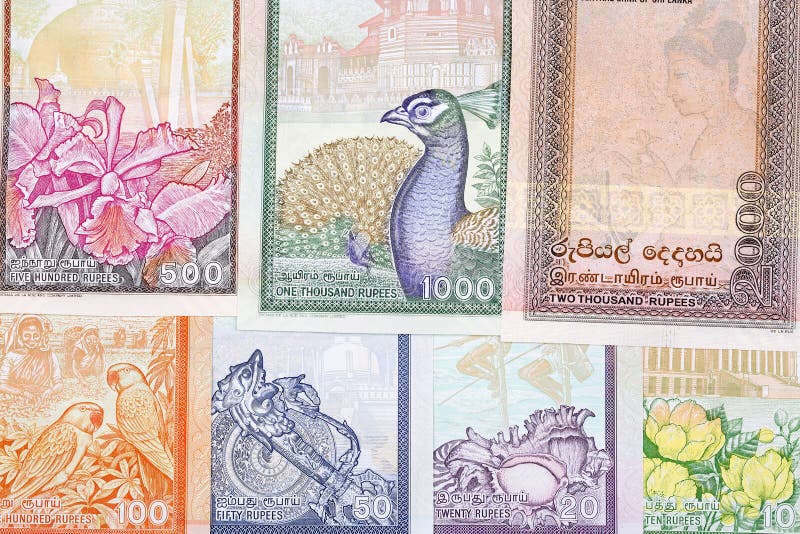 Money Sri Lankan Five Thousand Thousand Five-hundred Hundred Fifty and ...