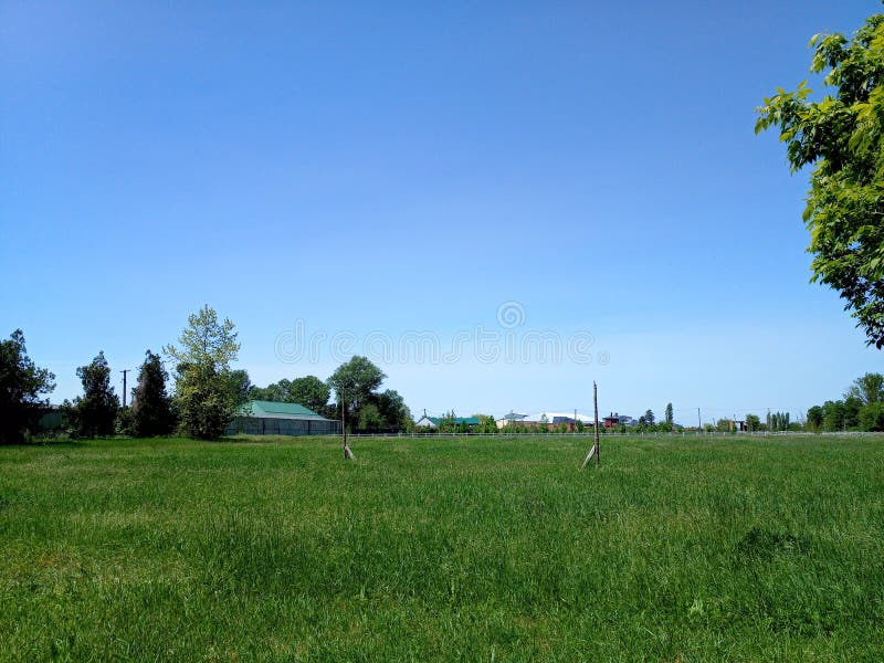 Old Stadium Overgrown with Grass. Rural Stadium Stock Image - Image of ...