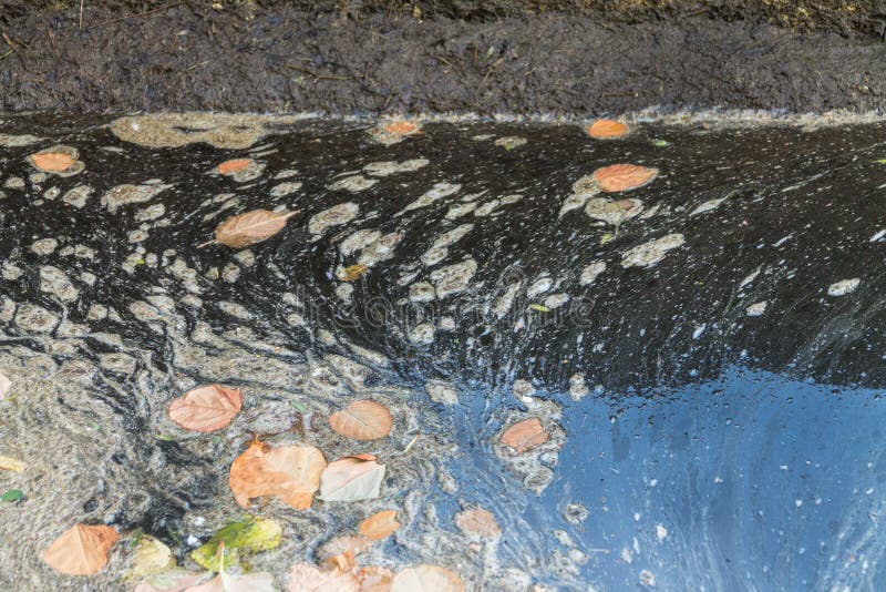 Old Stagnant Water in the Lake, Mud Floating on the Water ...