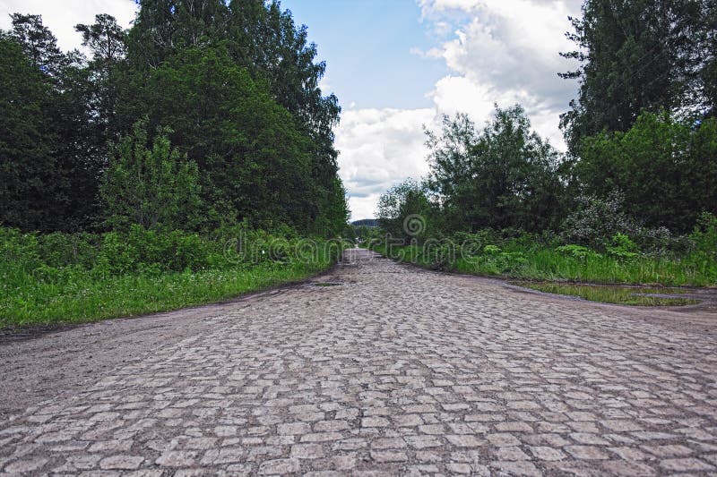 Stone Pavement through the Forest Stock Photo - Image of downward ...
