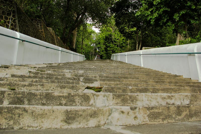 Old Staircase Texture in Forest Stock Image - Image of forest, area ...
