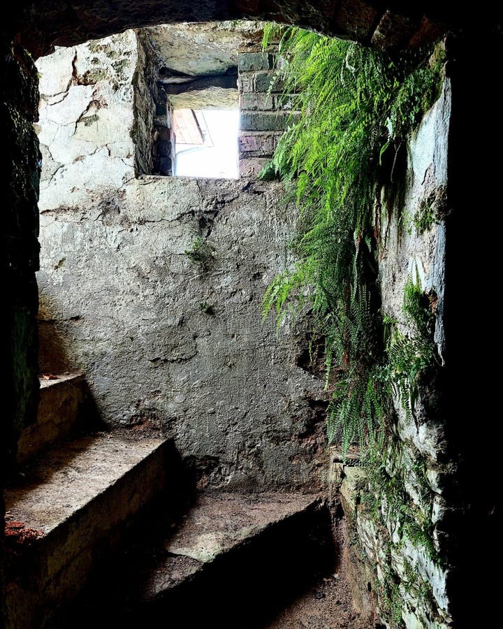 1,121 Soil Staircase Stock Photos - Free & Royalty-Free Stock Photos ...