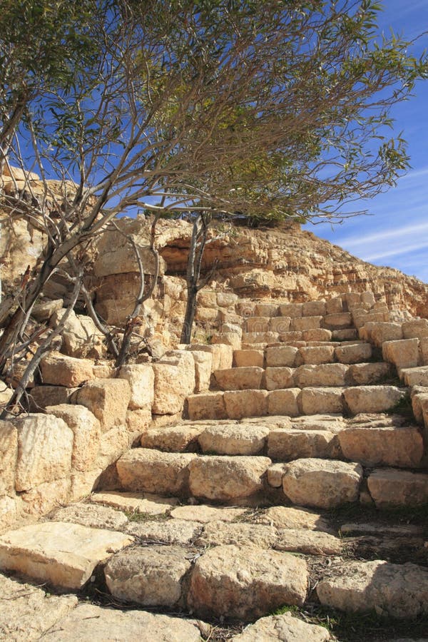 Old stairs stock photo. Image of tree, structure, stone - 12521286